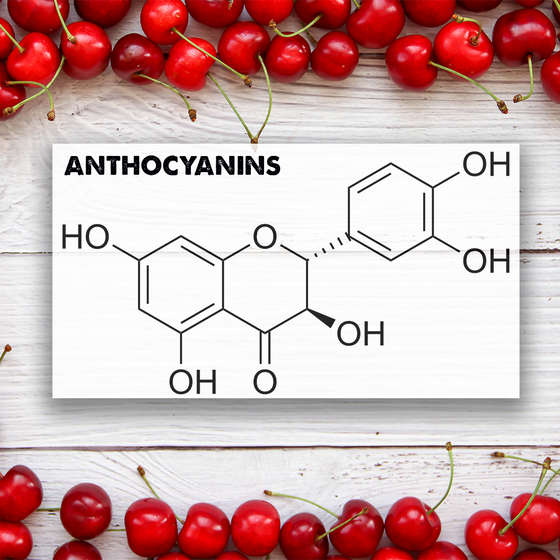 What are Anthocyanins? And why do I need more in my diet? – Eden Orchards